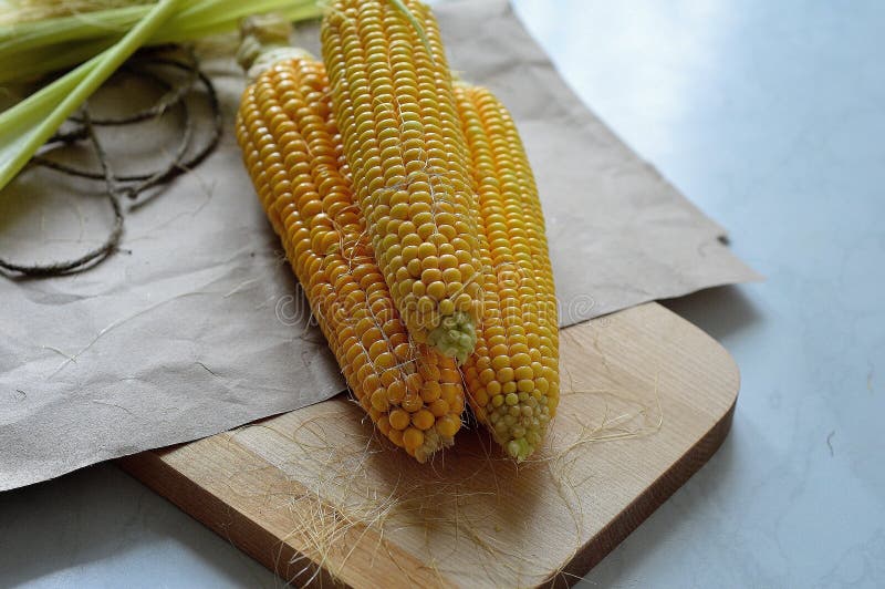Ears of fresh corn stock photo. Image of tasty, summer - 77405140