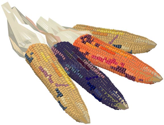Native Corn Stock Illustrations – 2,334 Native Corn Stock Illustrations ...