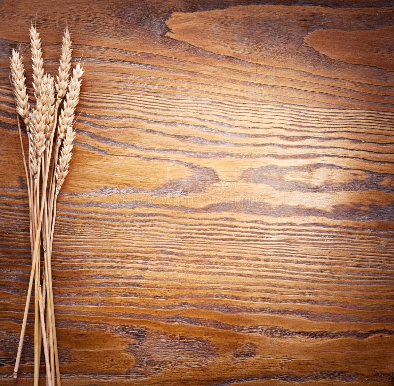 Ears of wheat. stock image. Image of material, sheaf - 38425235