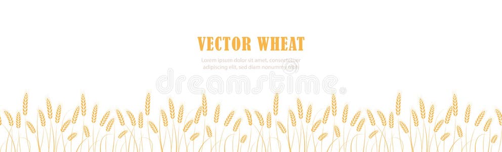 Ears Wheat Field Horizontal Border Stock Illustrations – 65 Ears Wheat ...