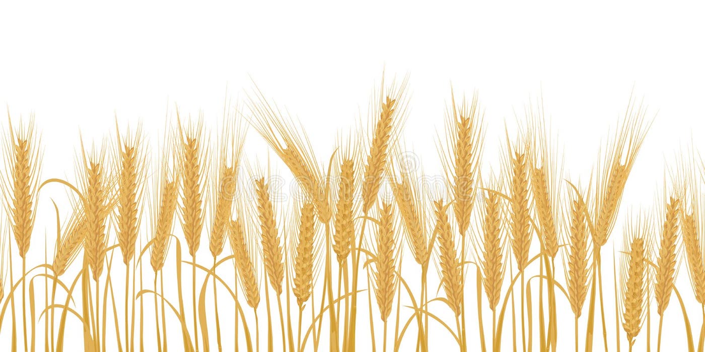 Border Wheat Stock Illustrations – 10,003 Border Wheat Stock ...
