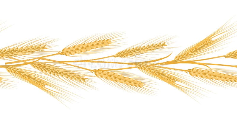 Ears of Wheat Landscape Border Seamless Pattern for Banners Stock Vector - Illustration of crop ...