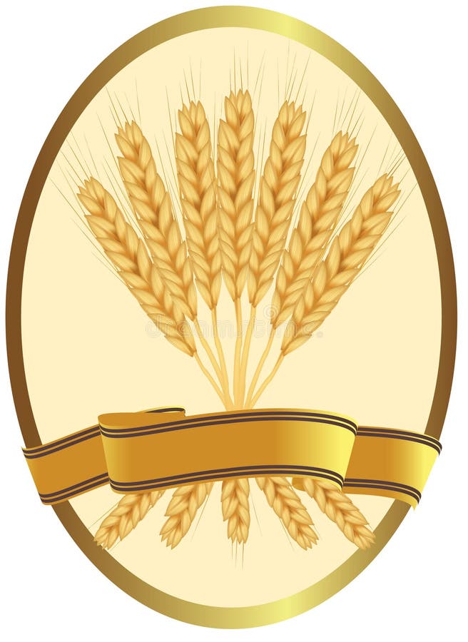 Ears of wheat and ribbons. stock vector. Illustration of agriculture ...