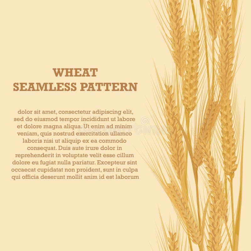 Ears of Wheat Horizontal Border Seamless Pattern Stock Vector - Illustration of autumn, natural ...