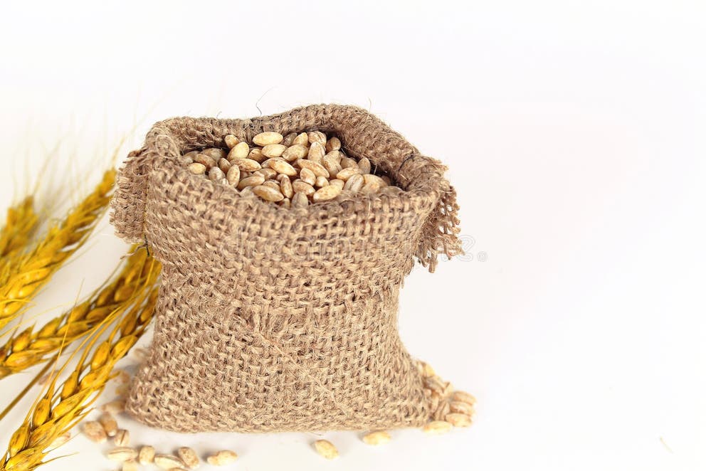 Ears of Wheat and Wheat Grains Stock Image - Image of garden, golden ...