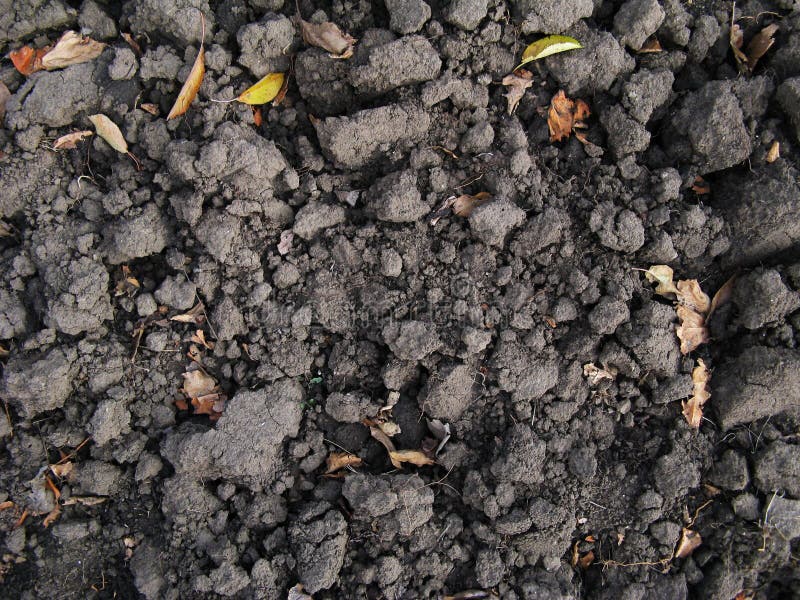 Earth in Autumn stock image. Image of lump, chestnut - 61710507