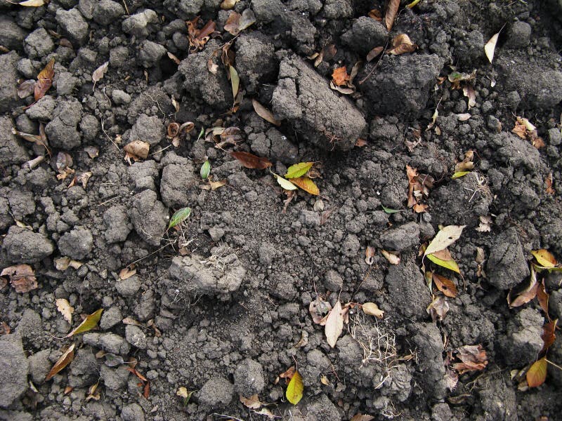 Earth in Autumn stock image. Image of leaves, soils, background - 61710513