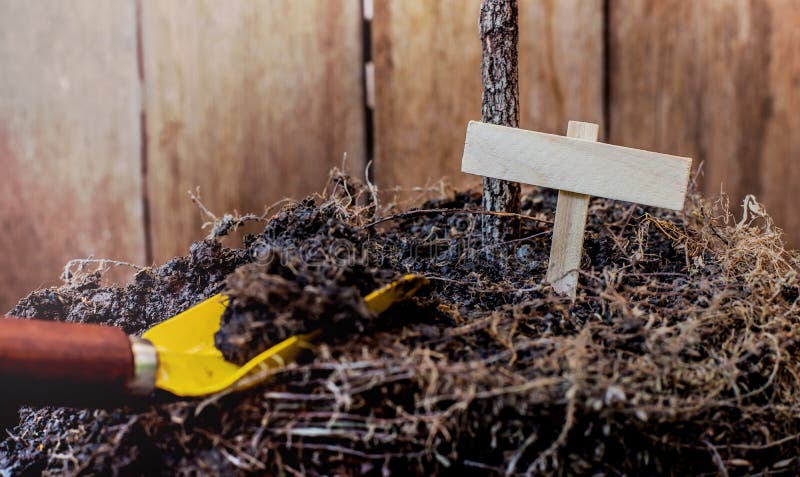 Earth day and Arbor day stock image. Image of photosynthesis - 69917075