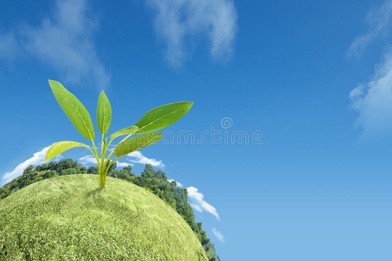 Earth Day stock photo. Image of earth, leaf, care, global - 271003866