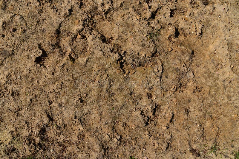 Earth and Dirt Soil Texture Background Stock Photo - Image of texture ...