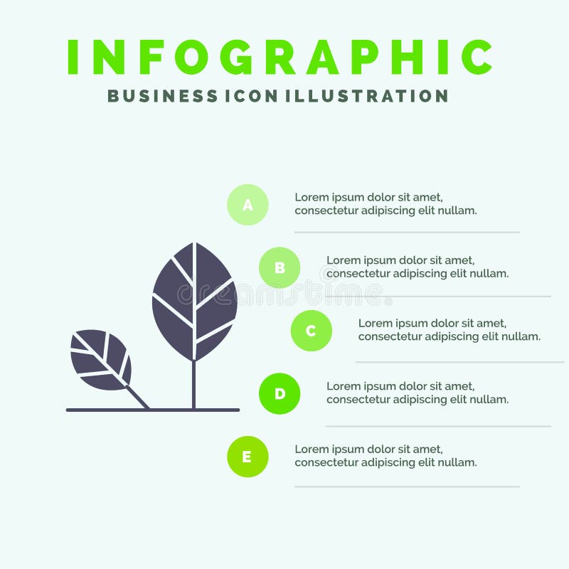 Earth, Eco, Environment, Leaf, Nature Solid Icon Infographics 5 Steps ...