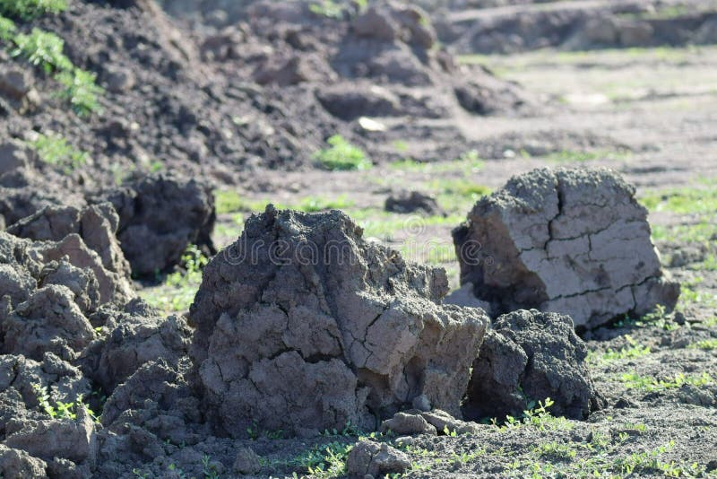 Hardened Earth stock image. Image of work, clod, thick - 255208993