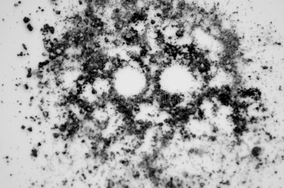 Earth face, skull. stock image. Image of crumb, stress - 148111549