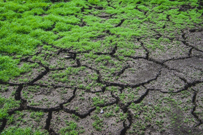 Earth Floor stock image. Image of ground, food, result - 55471325