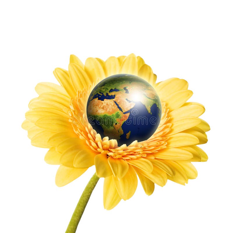 Earth in Flower Isolated Over White Stock Illustration - Illustration ...