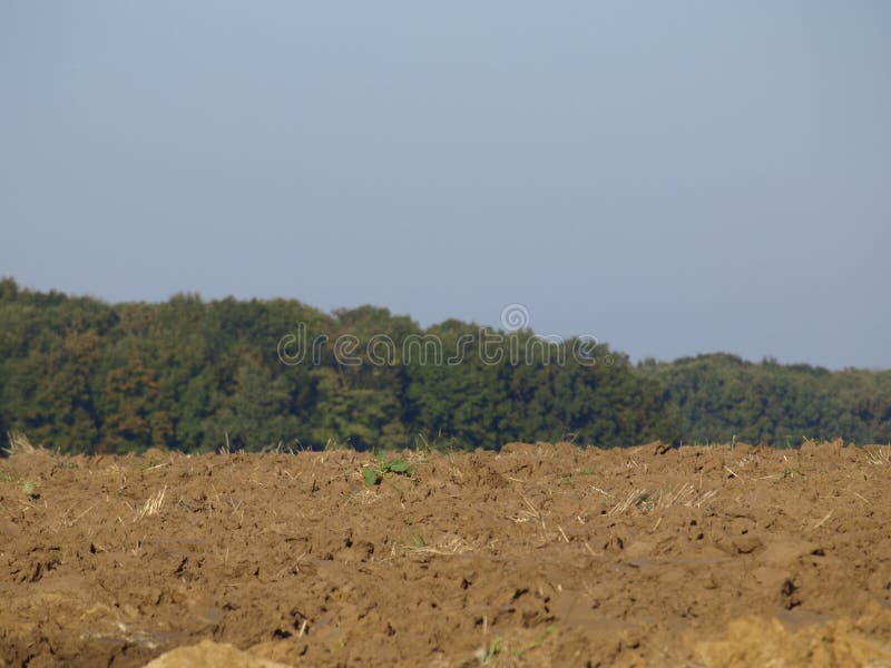 An Earth with Forrest in Background Stock Image - Image of trees, blue ...