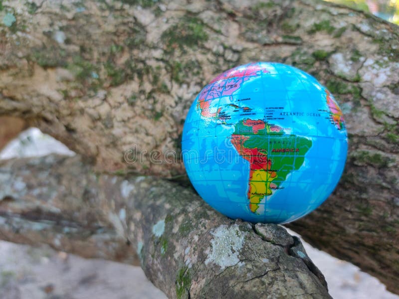 Earth Globe Placed on a Branch Under a Tree.Earth and Nature Concept ...