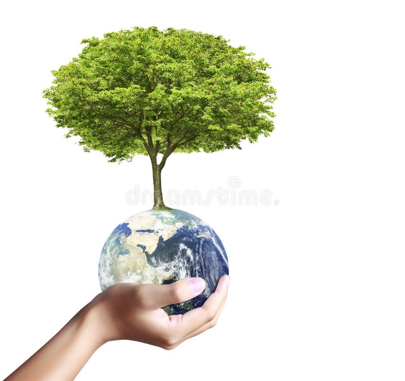 Earth Globe and Tree in His Hand Stock Photo - Image of hope ...