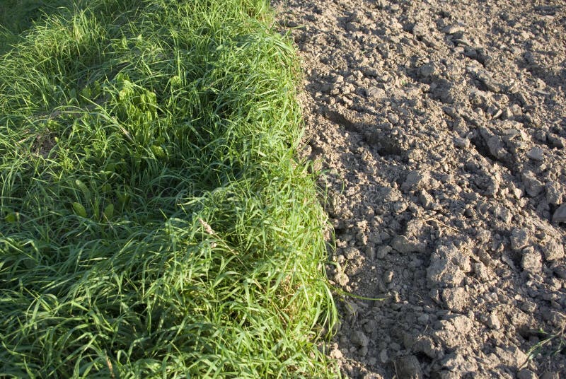 The earth and grass stock image. Image of illumination - 10746301