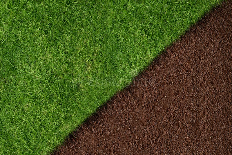 Earth and grass stock image. Image of grass, green, healthy - 108053107