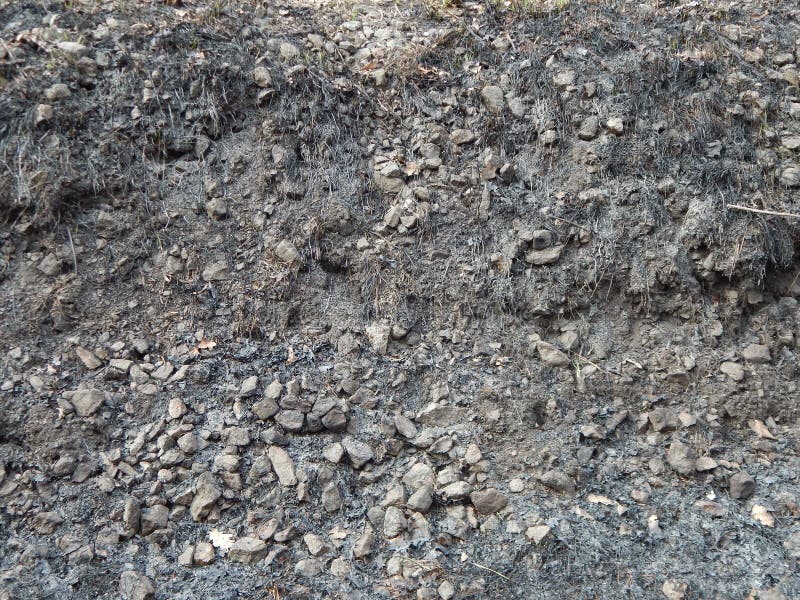 Earth and grass texture stock photo. Image of rough - 144437292