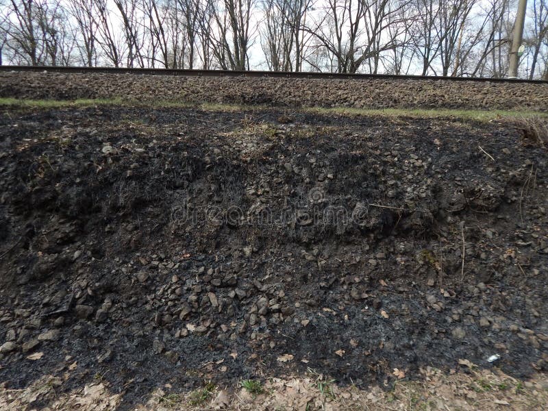 Earth and grass texture stock image. Image of earth - 144437323