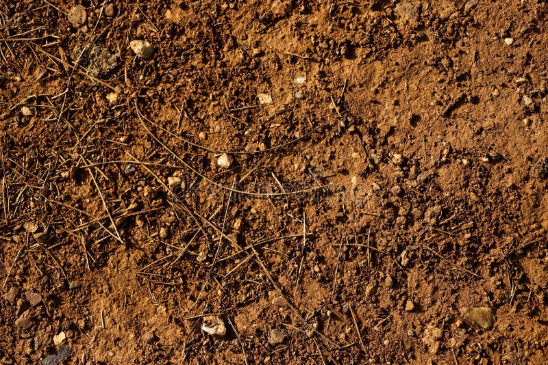 Earth ground stock photo. Image of detail, nature, garden - 189224466