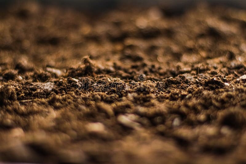 Earth Ground Texture As Background, Nature and Environment Stock Image ...