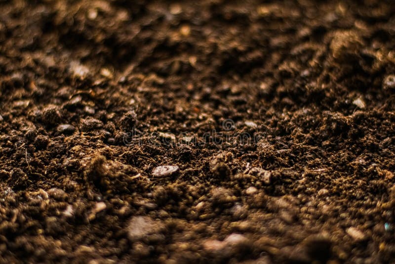 Earth Ground Texture As Background, Nature and Environment Stock Image ...