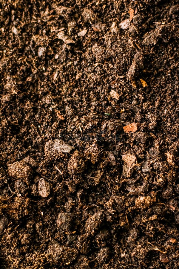 Earth Ground Texture As Background, Nature and Environment Stock Photo ...