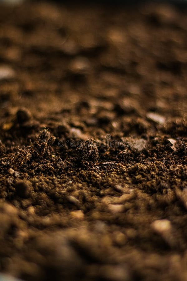 Earth Ground Texture As Background, Nature and Environment Stock Image ...