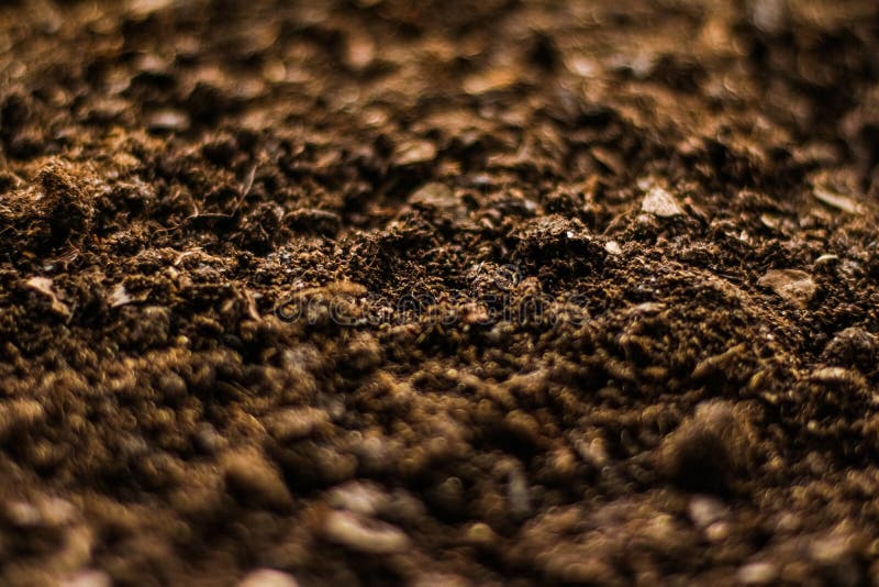 Earth Ground Texture As Background, Nature and Environment Stock Image ...