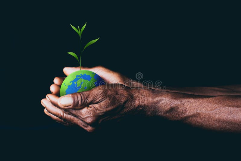 Earth in Hands. Save the World Stock Photo - Image of holding ...