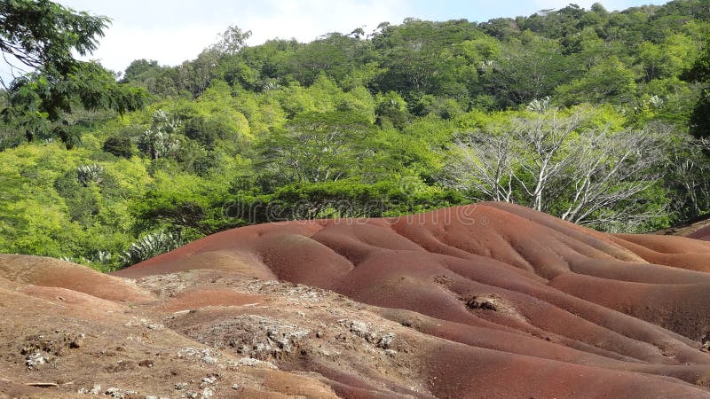 Earth and jugnle stock photo. Image of ridge, adventure - 269094812