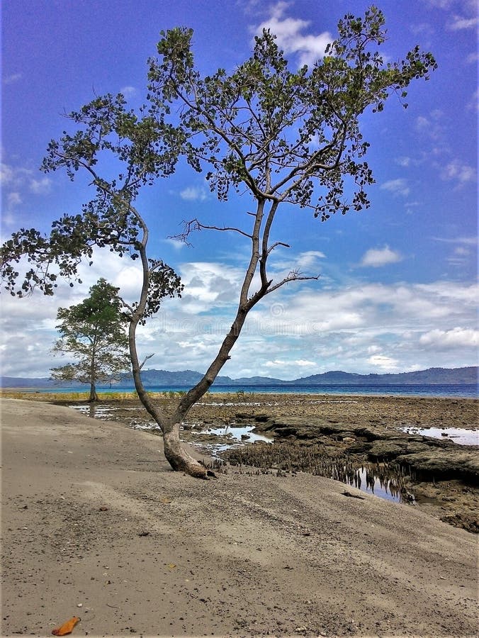 Earth Life on the Spot stock image. Image of botany - 339606857