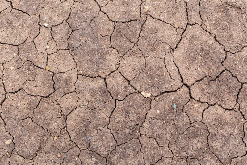 Dry Lifeless Land Texture Stock Photos - Download 824 Royalty Free Photos