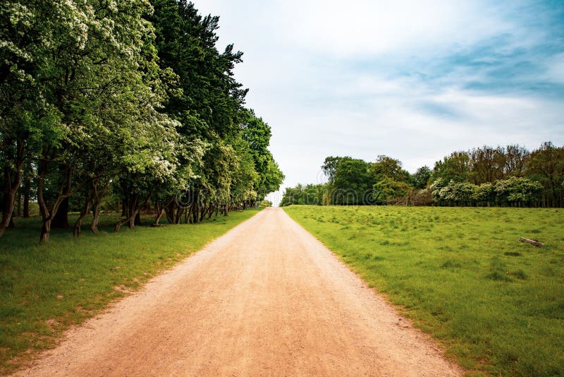 Path in country stock image. Image of rural, natural - 162892265