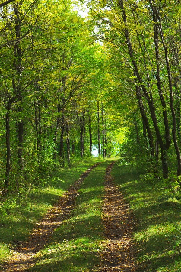 Earth Road stock photo. Image of color, outdoor, natural - 10972320