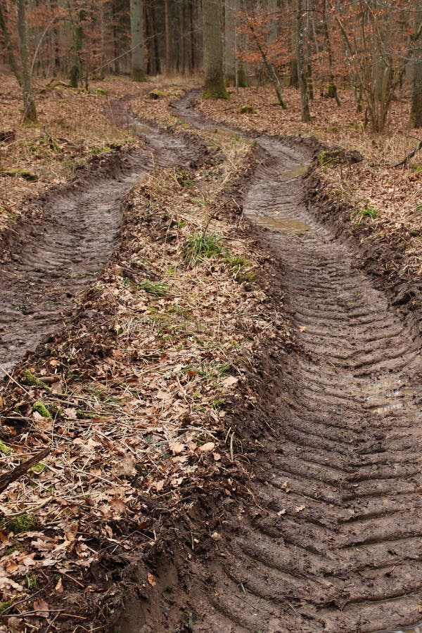 Earth road stock photo. Image of profile, tree, soil - 89755318