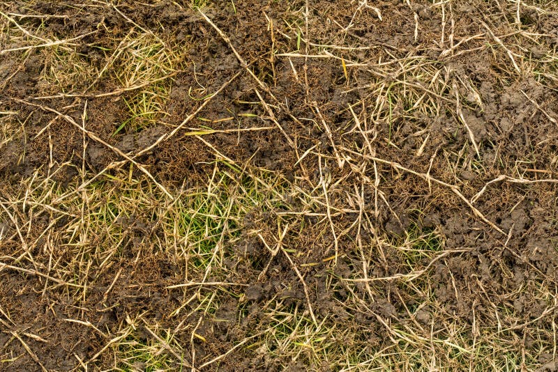 Earth soil ground stock photo. Image of mulch, pattern - 43751798