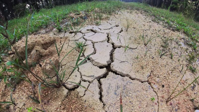 The Earth Surface Field Soil Drying and Cracking. Stock Video - Video ...