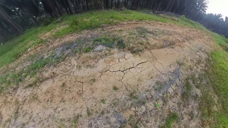 The Earth Surface Field Soil Drying and Cracking. Stock Footage - Video ...