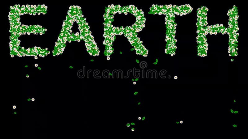 Earth Text with Green Leaves and White Daisy Flowers on Plain Black ...