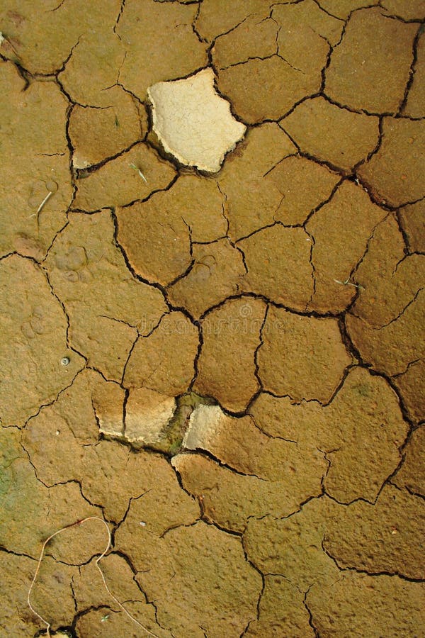Earth texture stock photo. Image of heat, barren, environment - 11938474