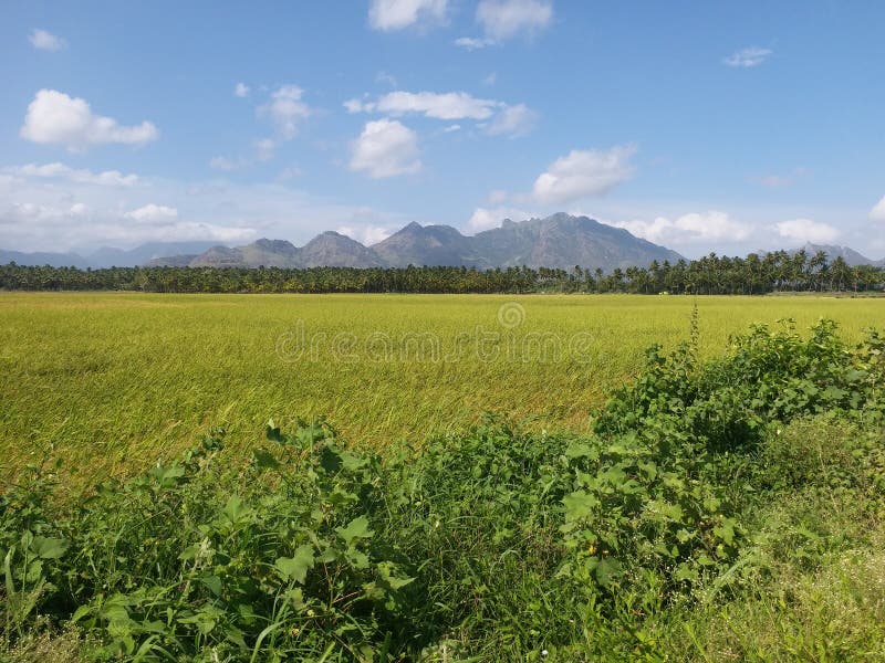 Earth & There Beautiful Nature Stock Image - Image of beaut, earth ...