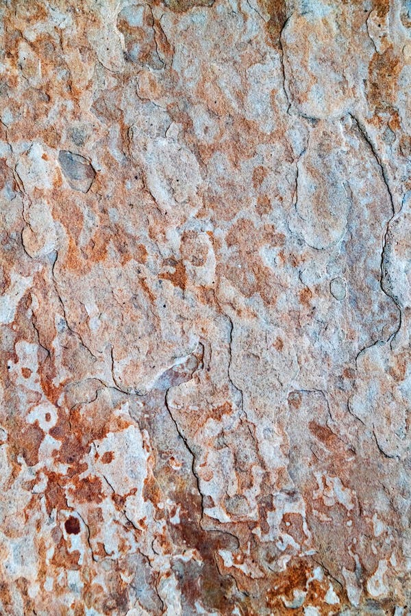 Earth Tones Stone Texture. Warm, Layered Sandstone Pattern for Natural ...
