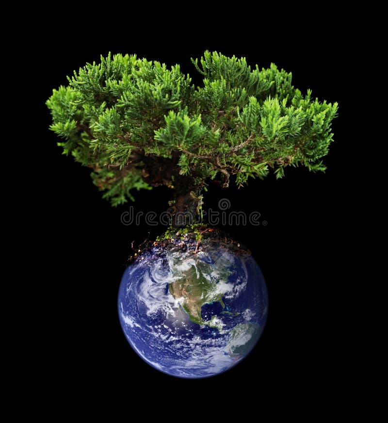 Earth tree stock image. Image of bonsai, green, global - 10545983