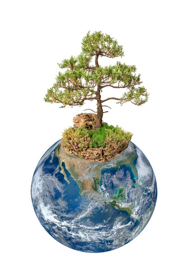 Tree on Earth stock image. Image of ecology, blue, development - 10027497