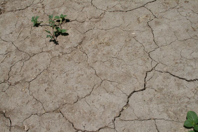 427 Packed Dirt Stock Photos - Free & Royalty-Free Stock Photos from ...