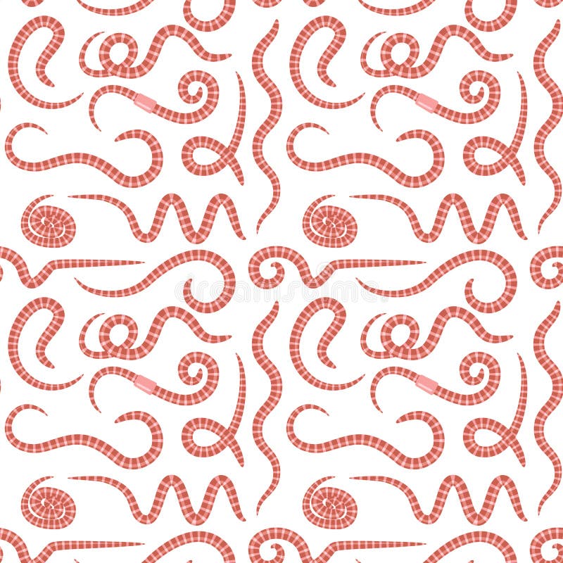 Earth Worm Seamless Pattern. Earthworms Vector Illustration Stock ...